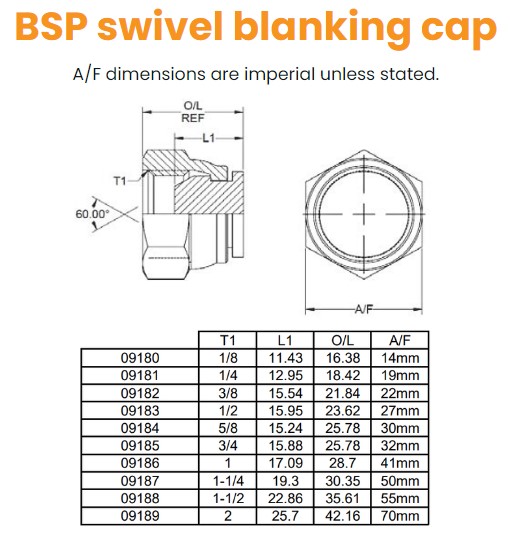 1/2 BSP Swivel Cap Hydraulic Adaptor